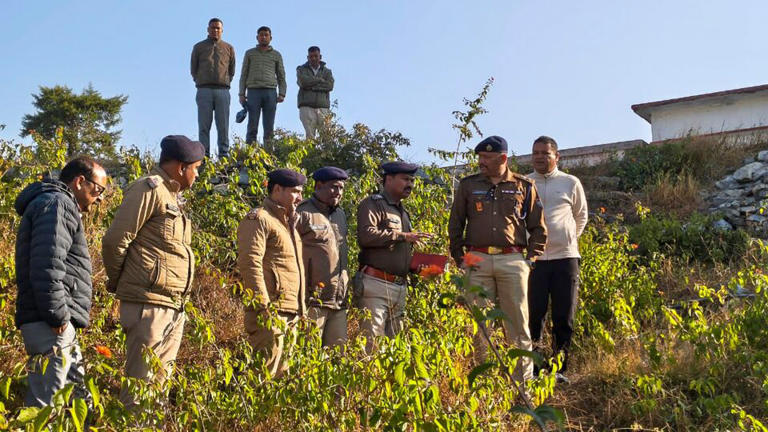 Over 160 gelatin sticks recovered near school in Uttarakhand's Almora ...