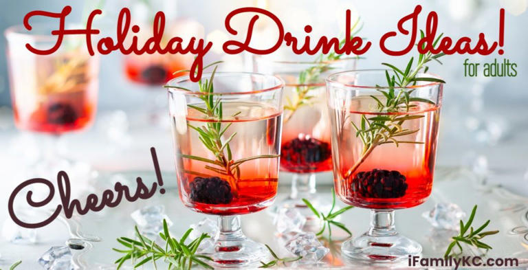 Holiday Drink Ideas & Christmas Cocktails (We Deserve It!)