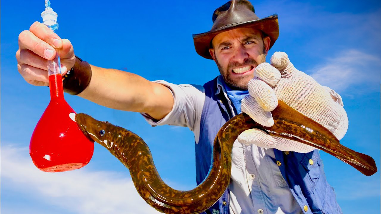 Coyote Peterson tests a parasite’s biggest weakness