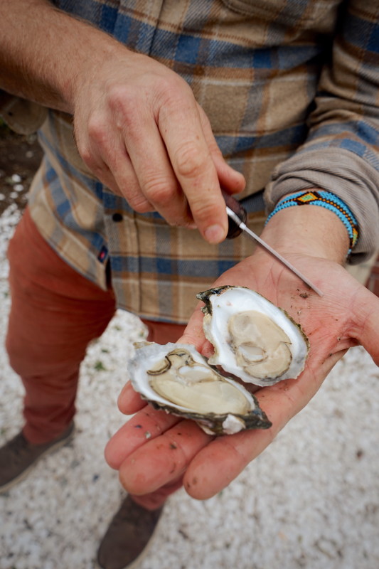 The Cape Cod Town Known for Its Famous Oyster Fest Is an Ideal Quiet ...