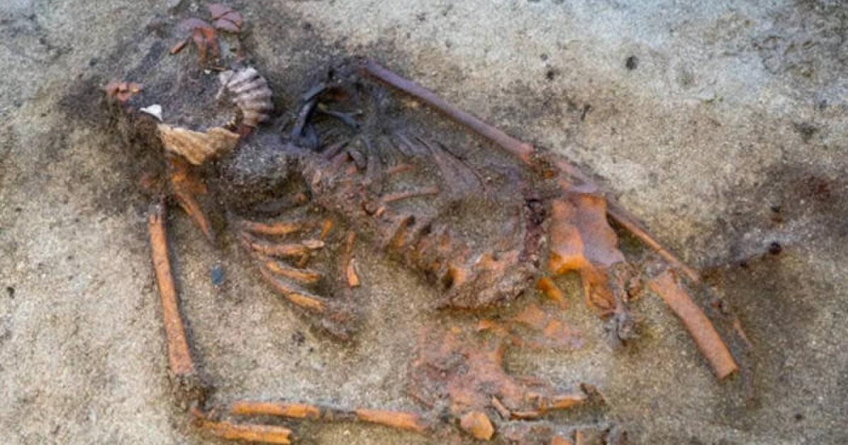 Viking Woman's Burial Contains 'Unprecedented' Discovery