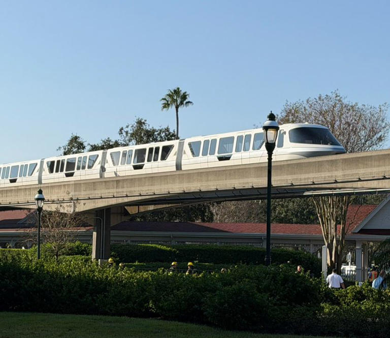 Disney Monorail SilverShut Down After Electrical Fire