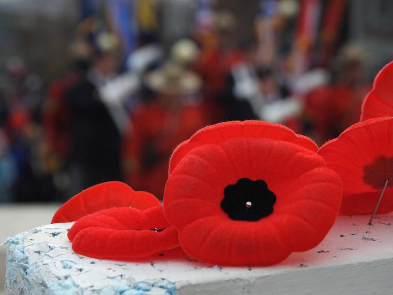 What's open, closed on Remembrance Day 2025 in New Brunswick