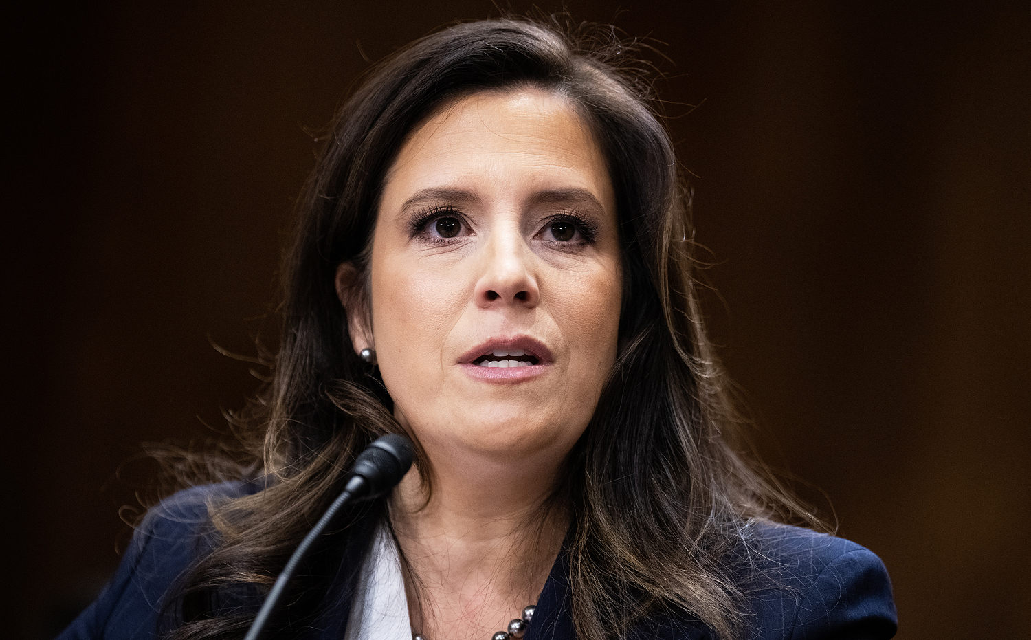 Maddow Blog | Monday’s Campaign Round-Up, 11.10.25: Elise Stefanik ...