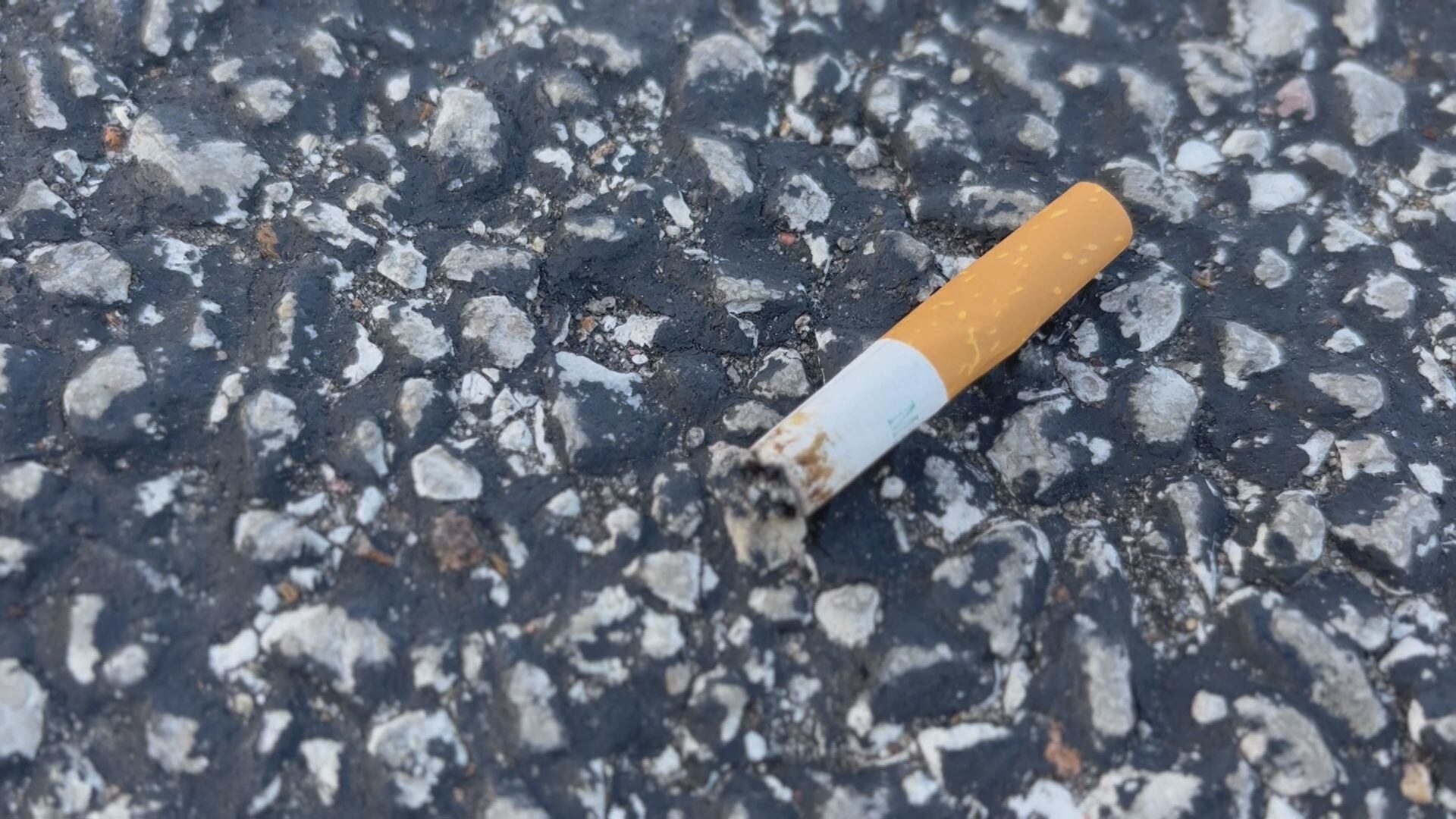 Florida state representative proposes bill which would ban smoking on ...