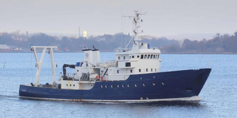 Nya rön: Gruvdrift på botten riskerar livet i haven