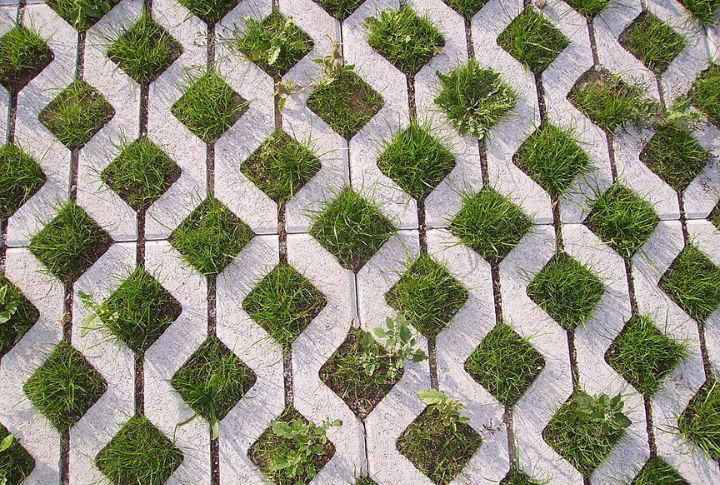 10 Smart Landscaping Ideas That Save You Hours Every Week