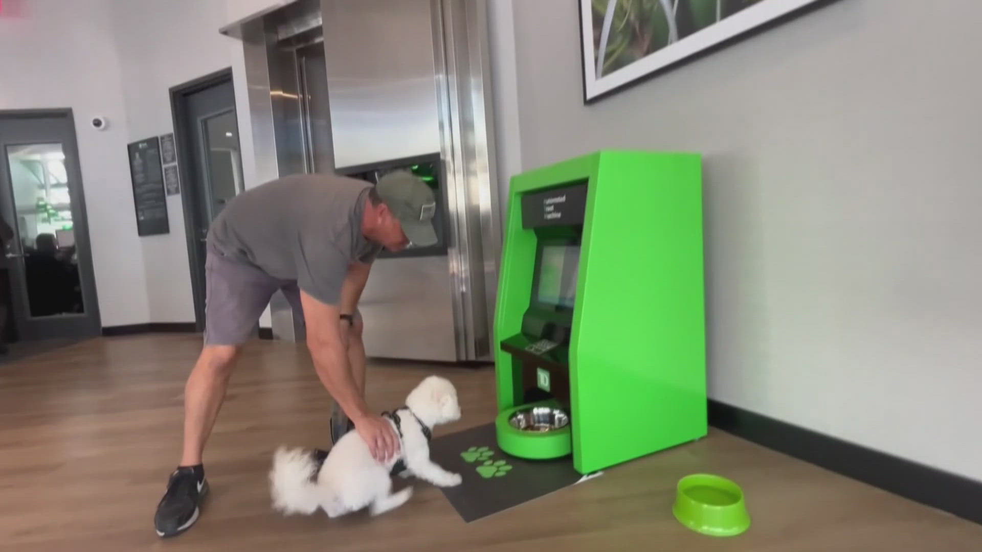 Bank uses dog ATM to prompt reconnecting in-person services