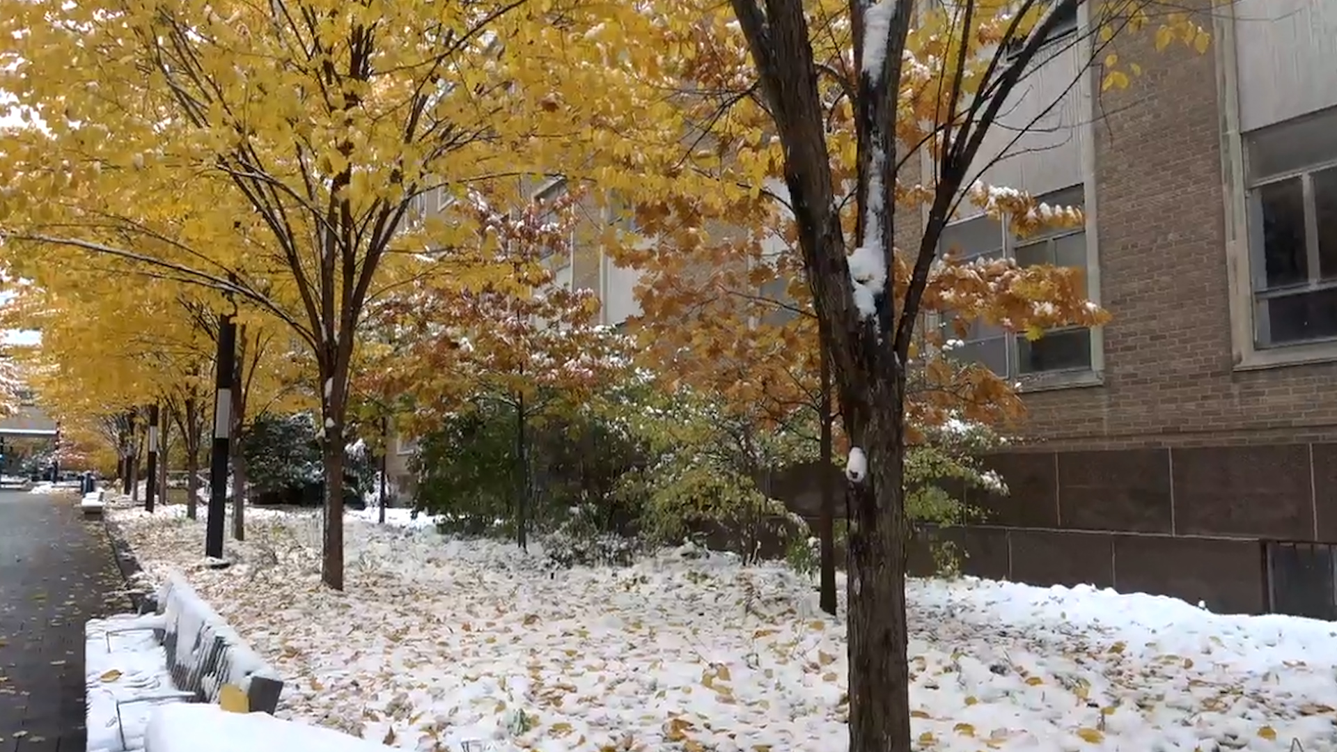 Toronto hit by record-breaking November snowfall