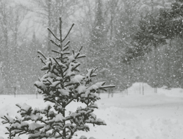 Early Winter Blast Grips Northeast And Great Lakes, Causing Travel Chaos