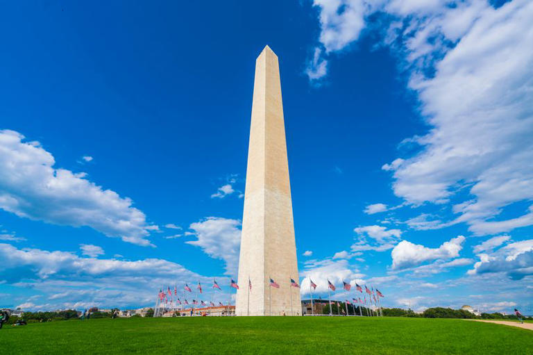 Charmin releases toilet paper roll 'as long as the Washington Monument ...