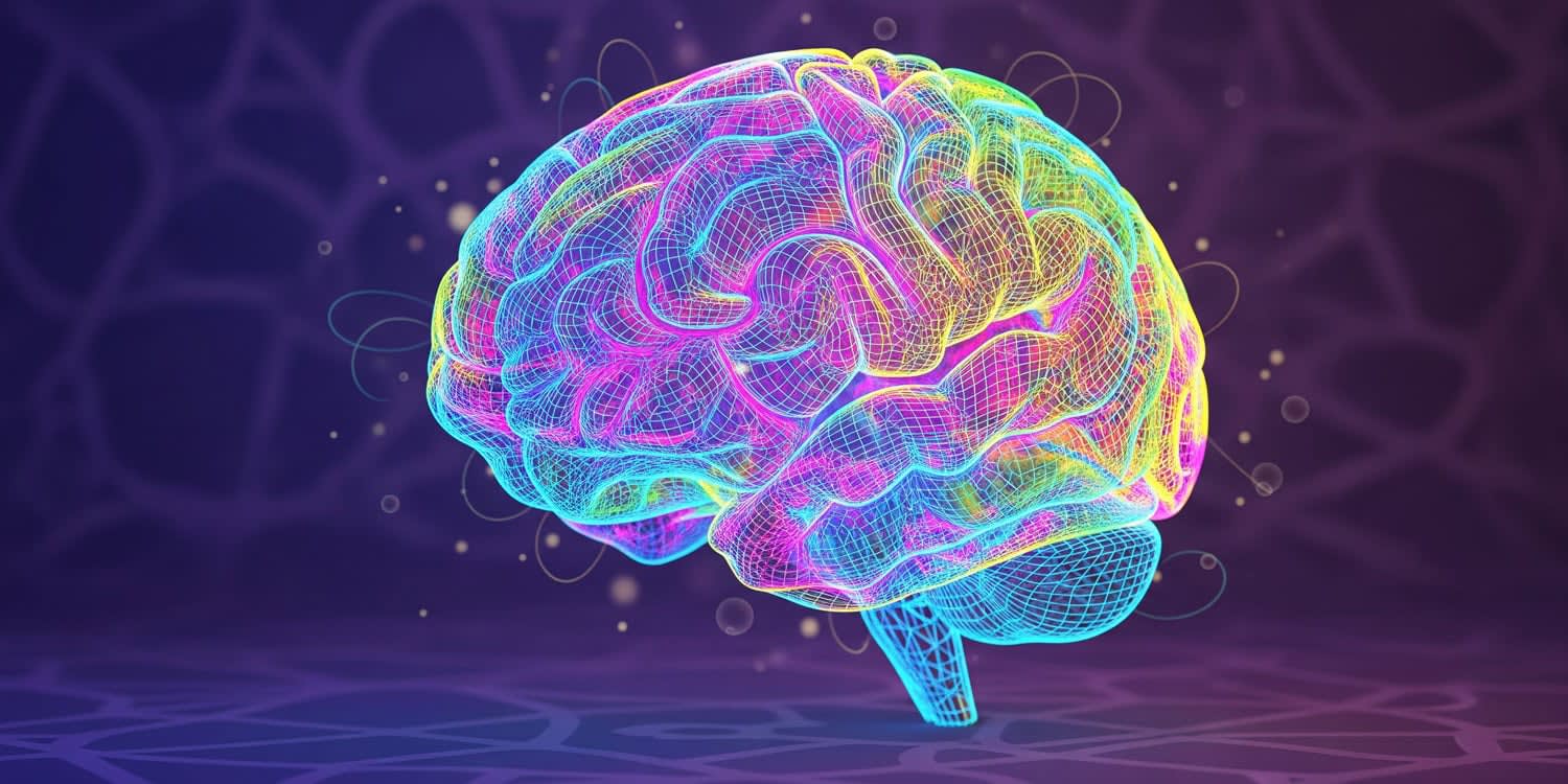 A multi-scale view of the brain uncovers the blueprint of intelligence