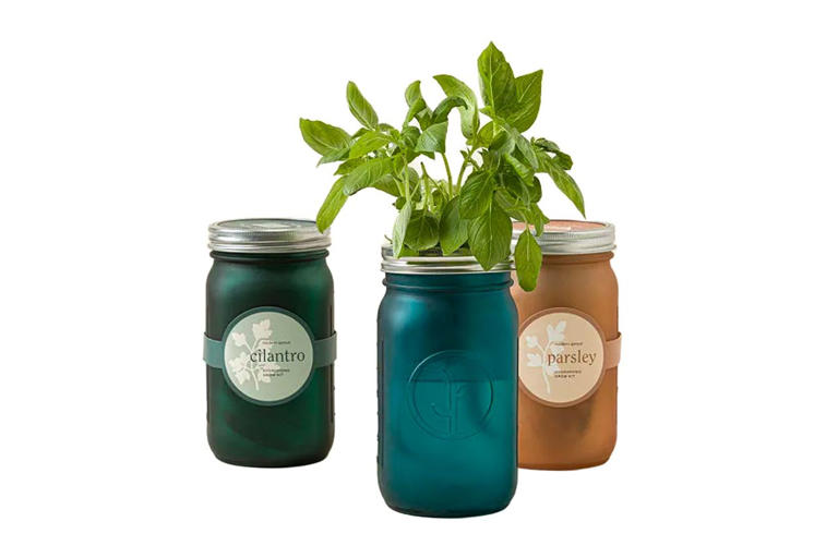 The 36 best hostess gifts, reviewed by BHG