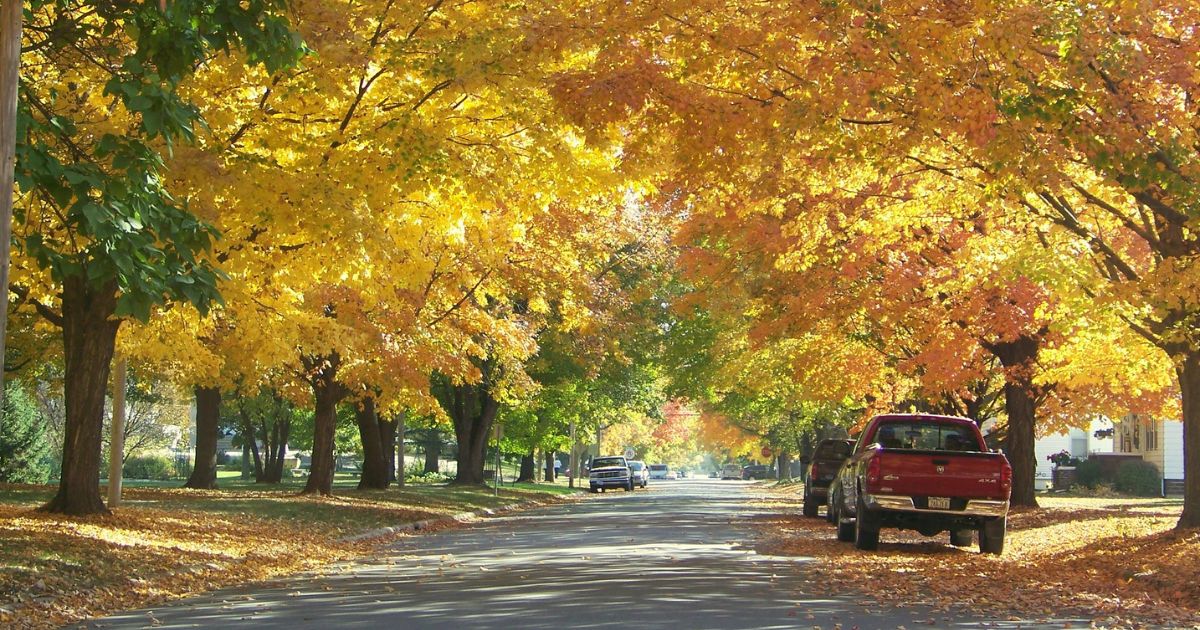 10 Things That Will Always Make Iowa Natives Think of Home