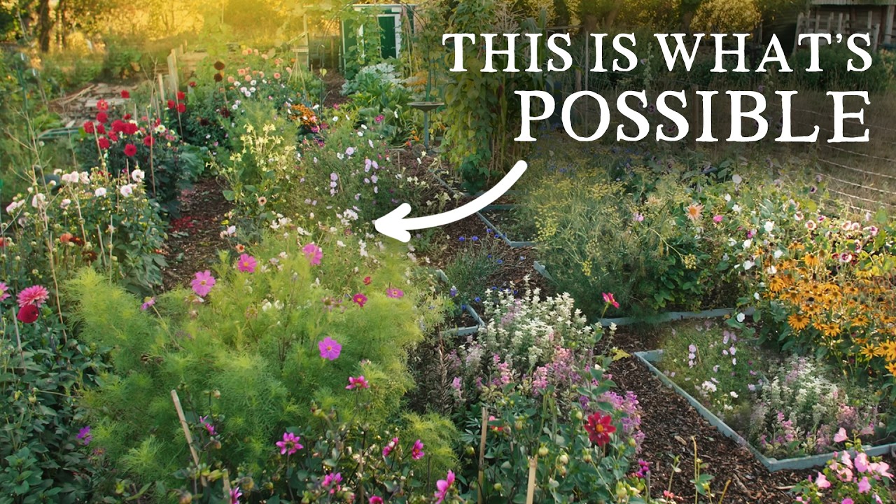 This Breathtaking Kitchen Garden is Just 5 Months Old! (Veg, Flowers ...
