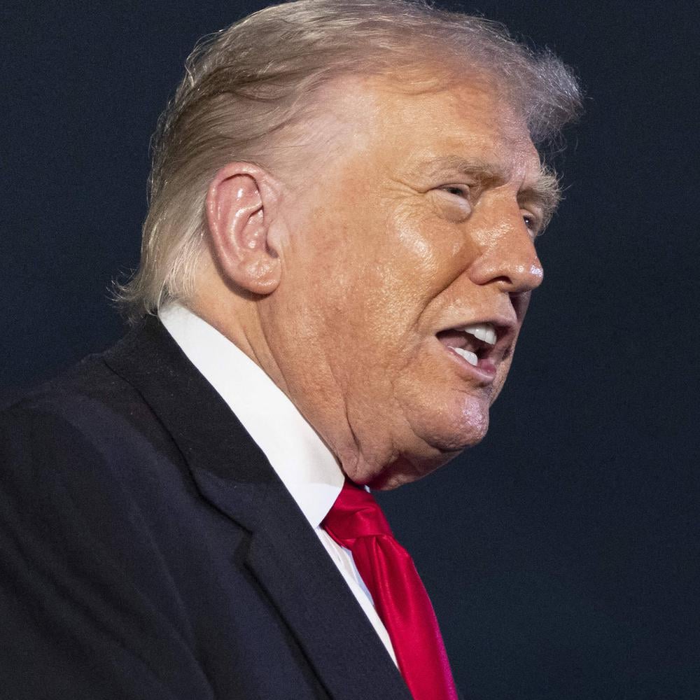 Hunderte Flugausfälle wegen des Shutdowns: Trump fordert Fluglotsen zum ...