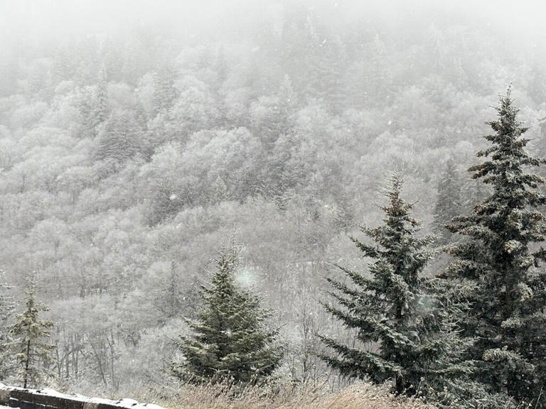 Newfound Gap Road in Great Smoky Mountains closes due to forecasted weather