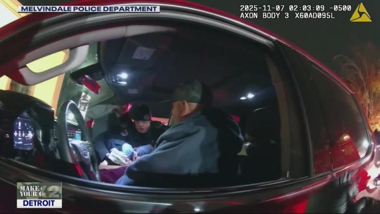 Oh baby: Melvindale police officer delivers newborn during traffic stop