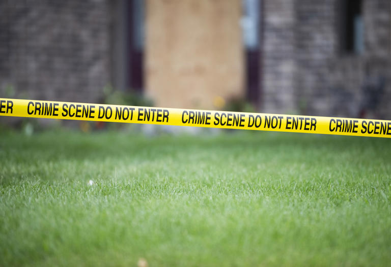 Border Patrol Agent Who Shot Chicago Woman Bragged About Incident in ...