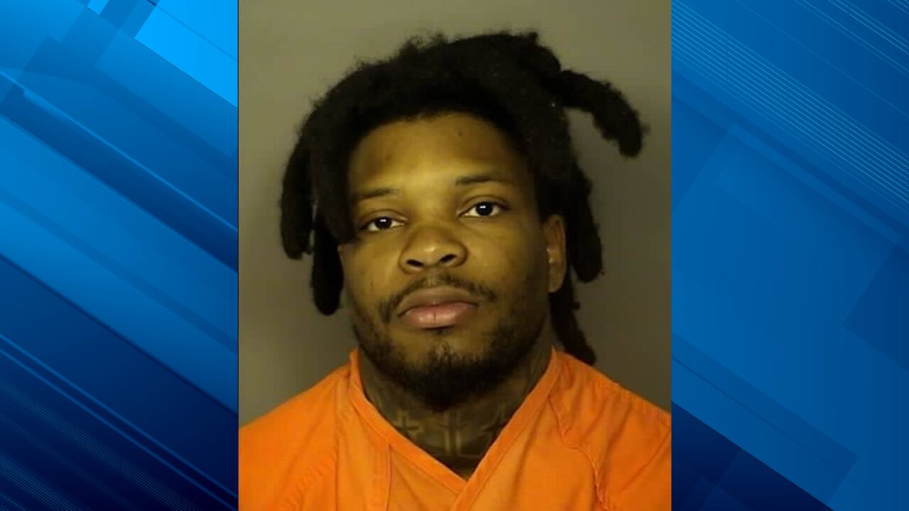 Judge sentences Little River man to 10 years in prison for drug, gun ...