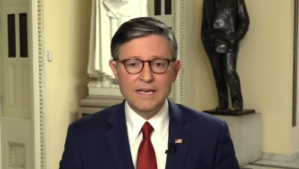 'That's 100% What This Is About': Mike Johnson Blames Government ...