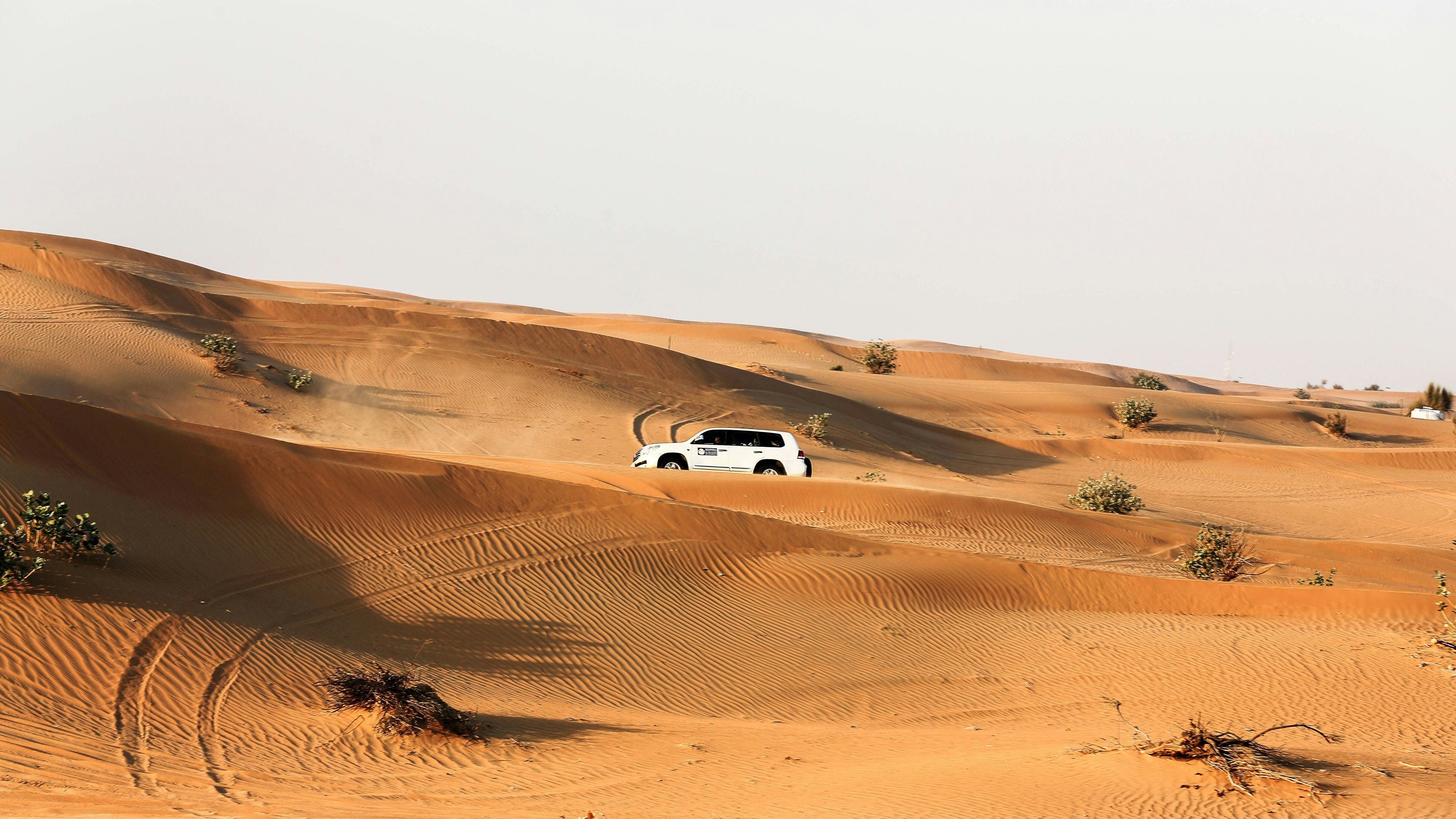 Lkw-Panne in der Sahara – 49 Menschen verdurstet