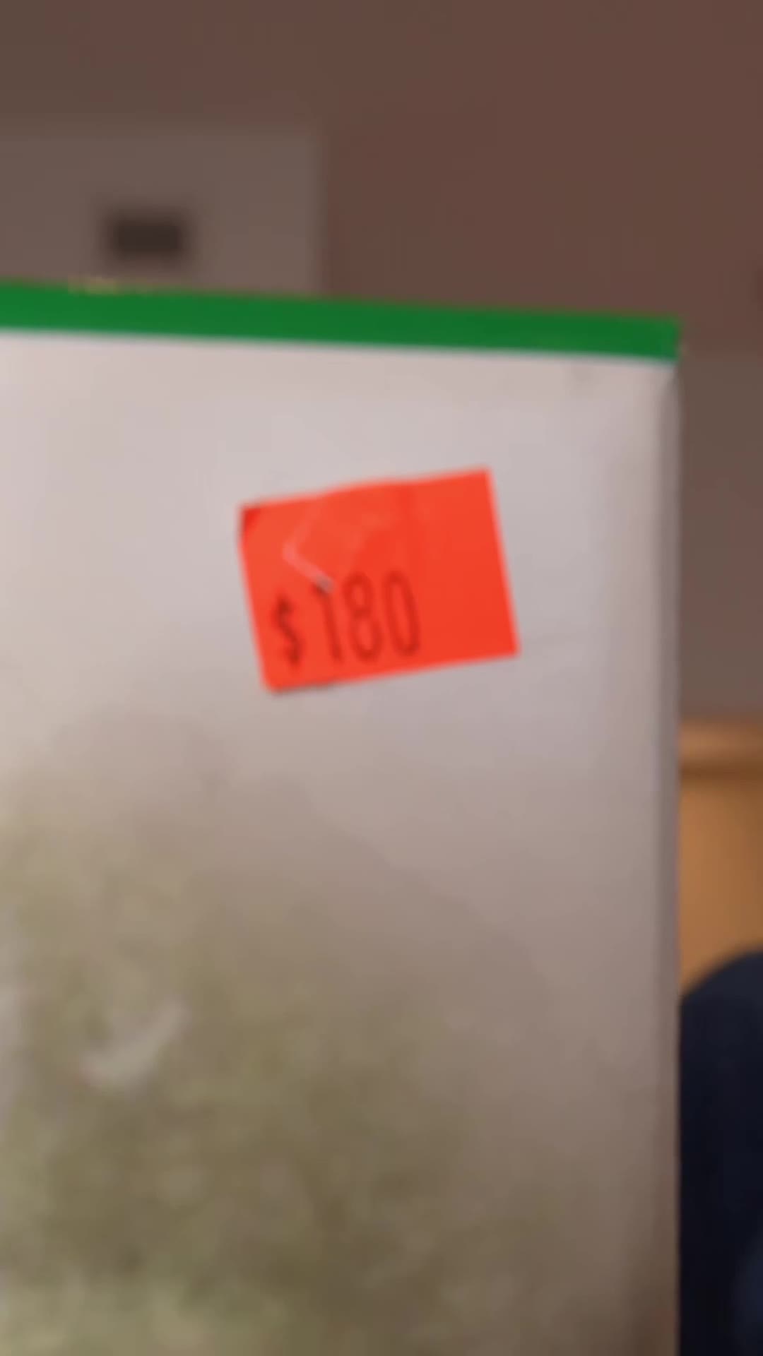 The $5 cherry? World's most expensive fruit 🍒😱