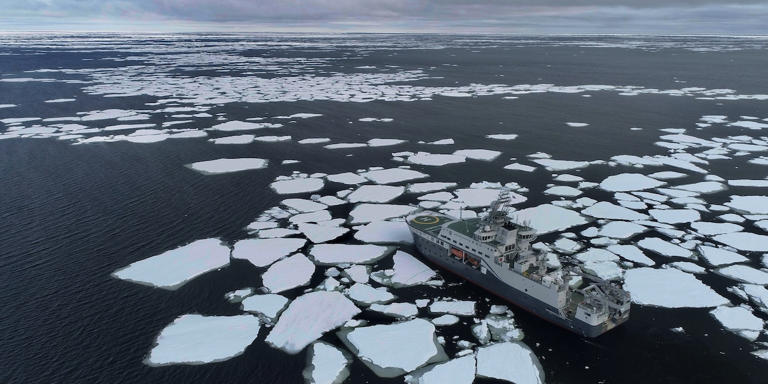 Nya rön: Gruvdrift på botten riskerar livet i haven