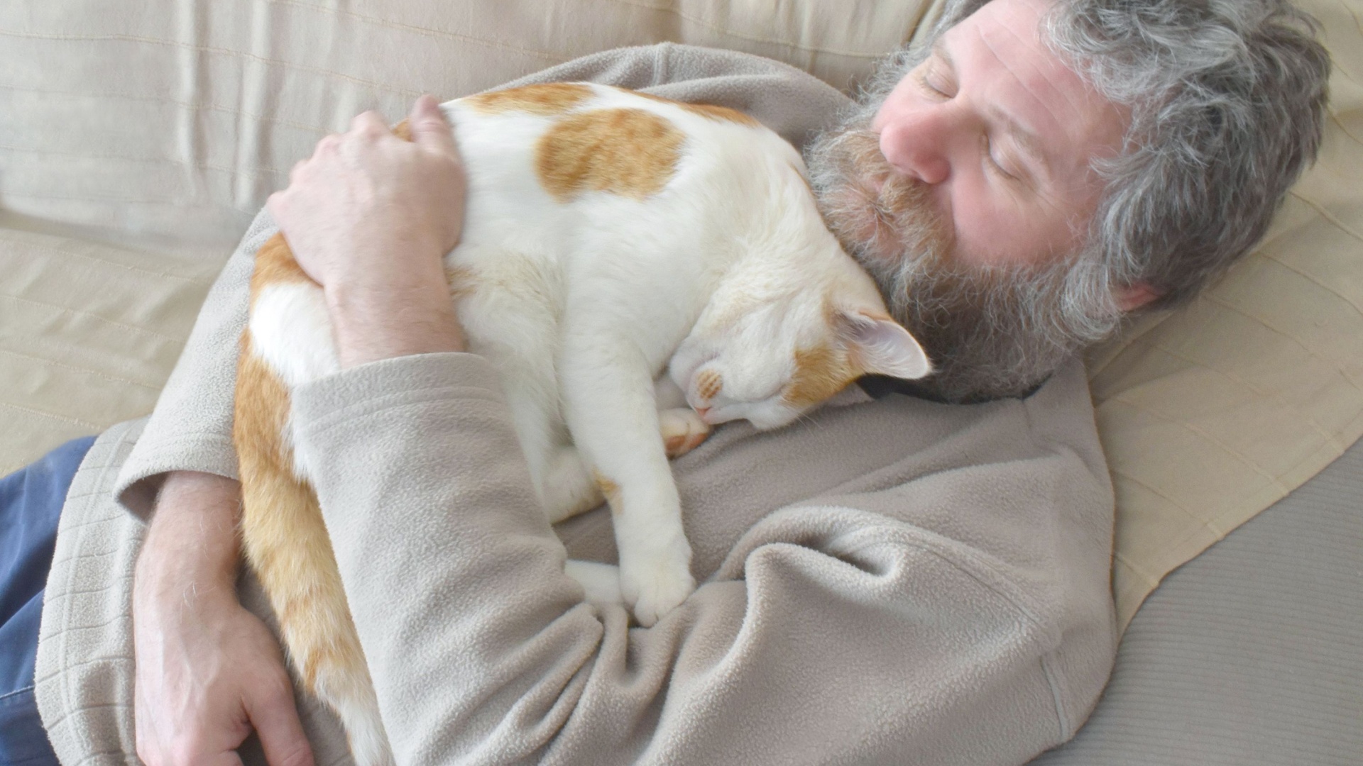 Signs Your Cat Only Relaxes With You And No One Else