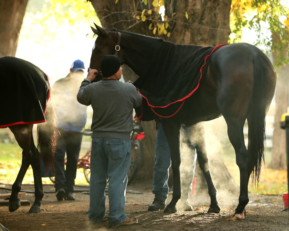'This Is A Big Deal To Us': Saturday's Claiming Crown Spotlights Racing ...