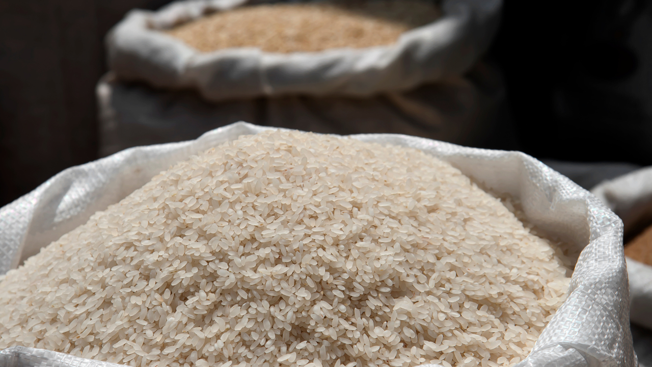 Philippine rice supply chain gets boost with new complex