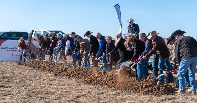 WTAMU breaks ground on $15M research feedlot to advance beef industry ...