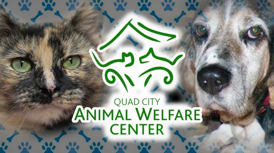 2026 QCAWC pet calendars now available