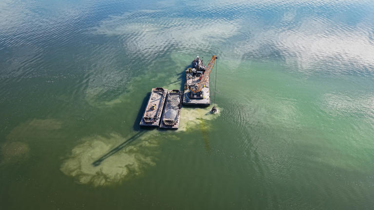 Reef restoration will support native fish in Saginaw Bay