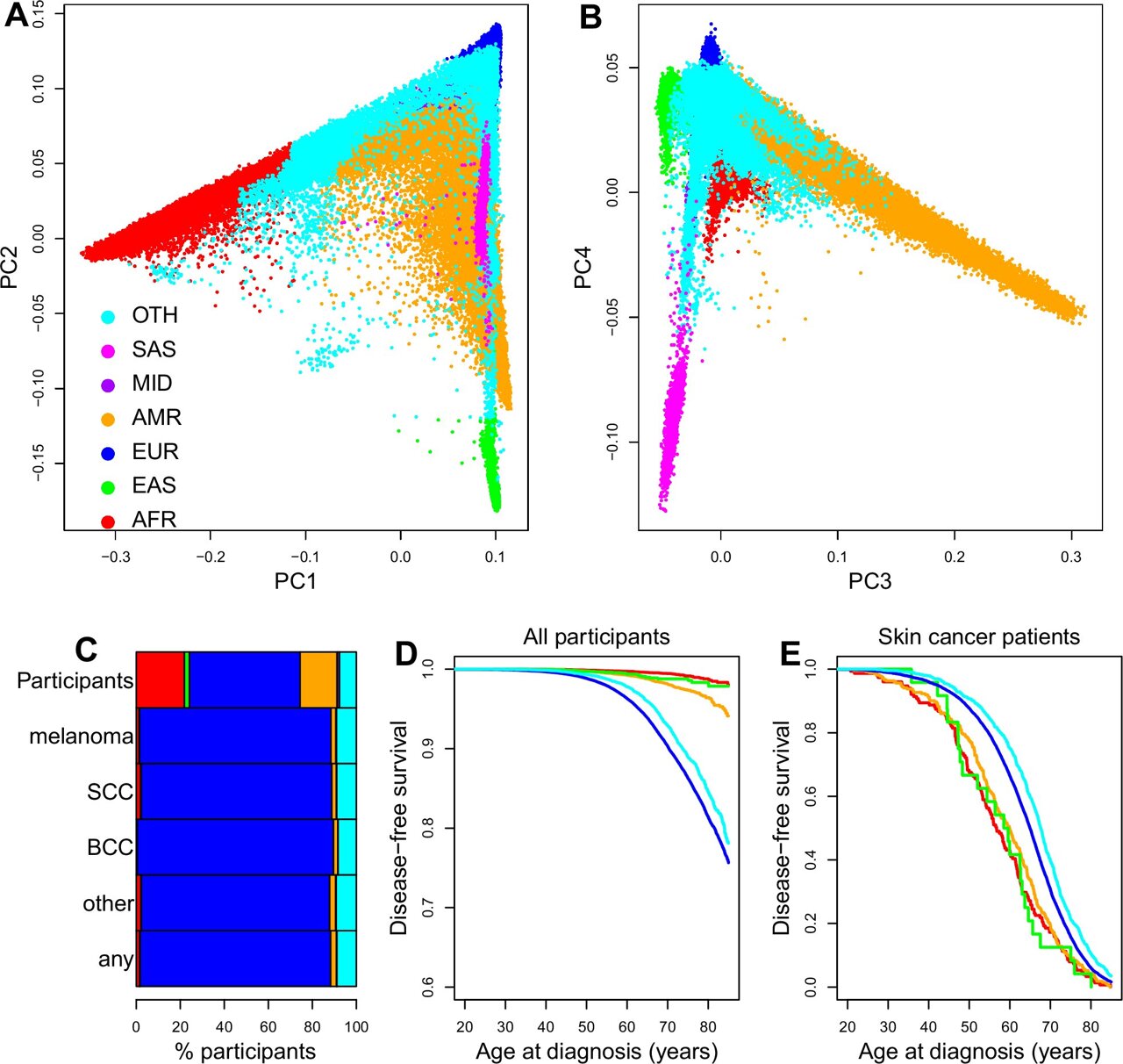 AI model powers skin cancer detection across diverse populations