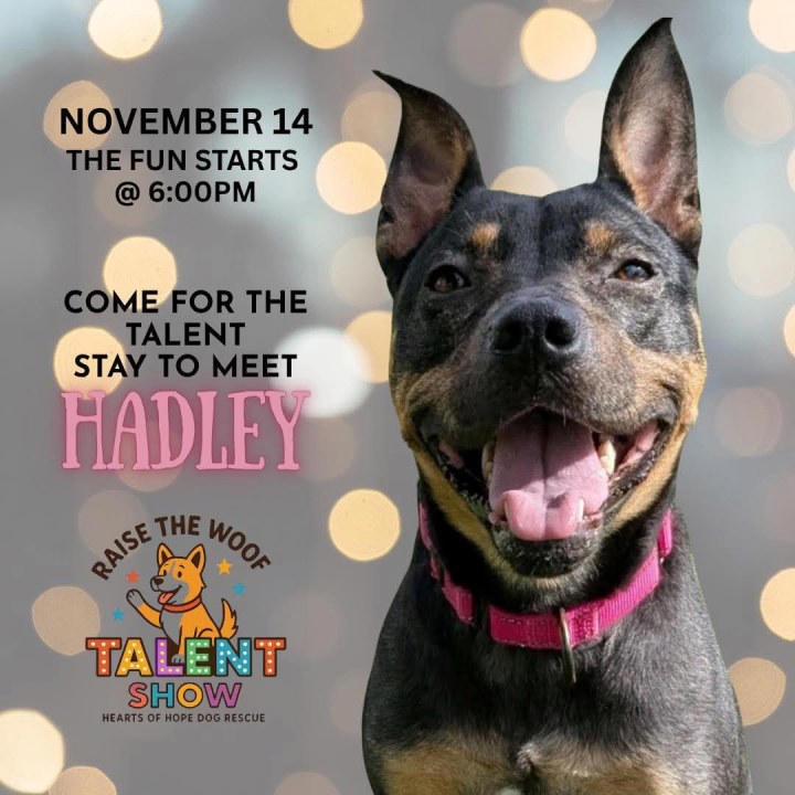 Grand Rapids dog rescue hosts talent show, fundraiser