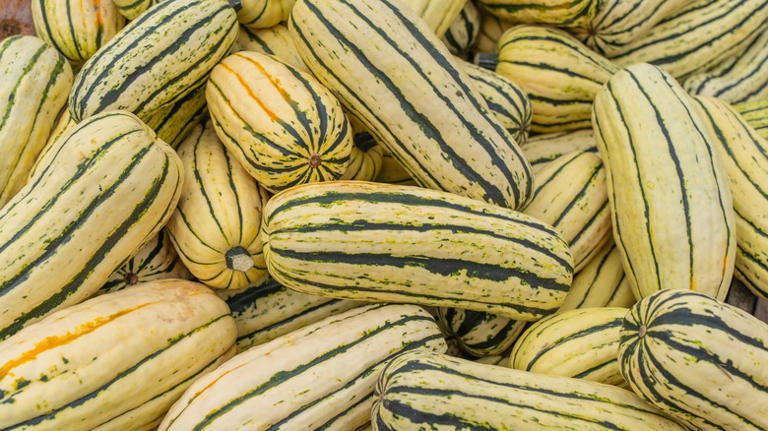 10 Types Of Winter Squash (And What To Do With Them)