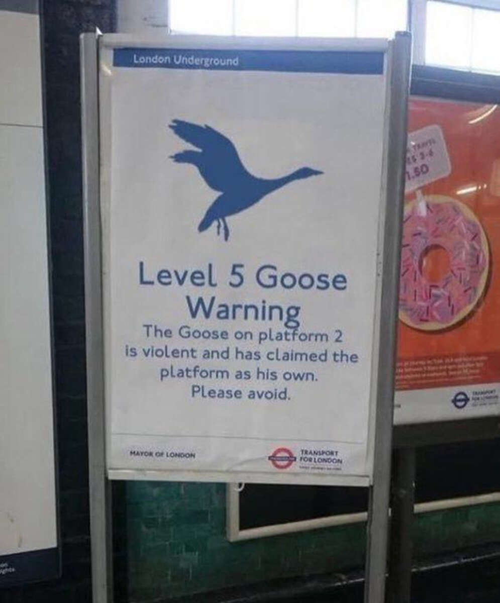 20 Funny Signs That Have A Long Story Behind Them