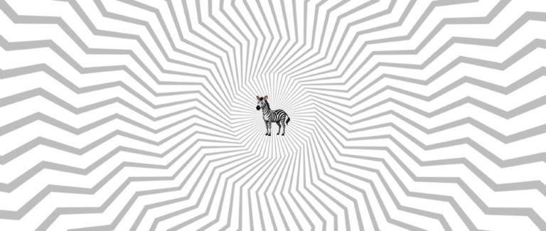 Test Your Daredevil Instincts: Can You Find the Hidden Animal in This ...