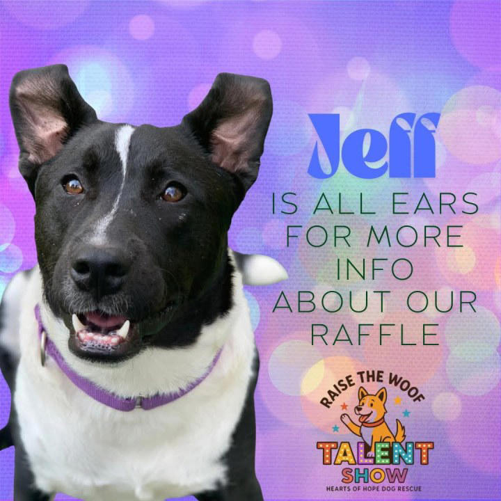 Grand Rapids dog rescue hosts talent show, fundraiser