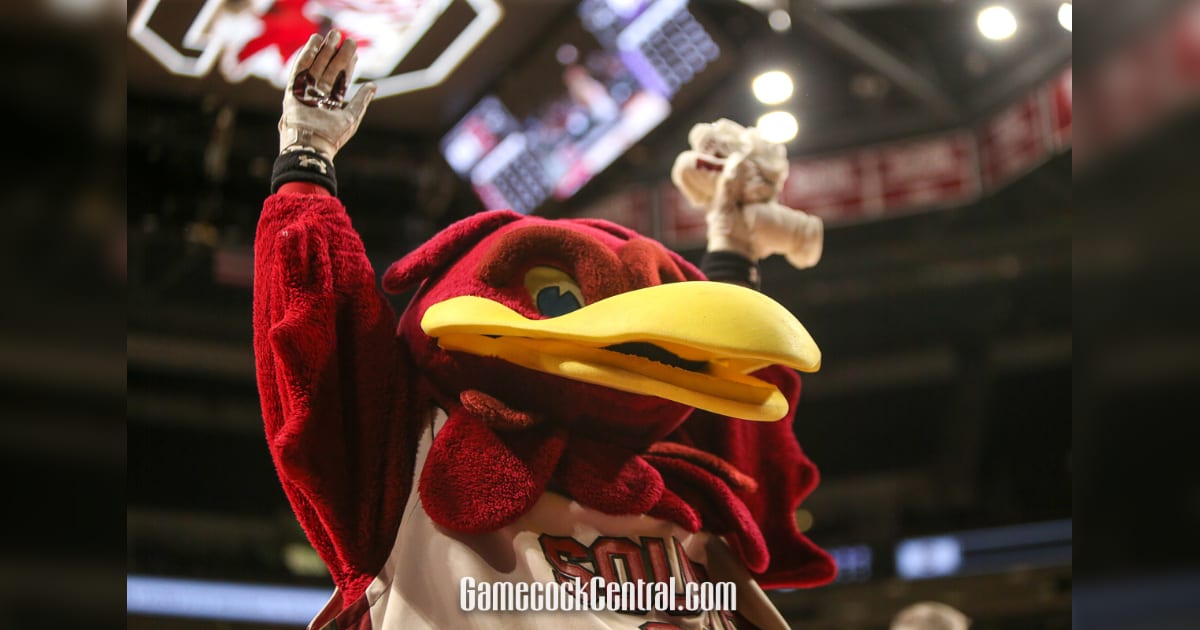 South Carolina women’s basketball: What does Kaeli Wynn’s commitment ...