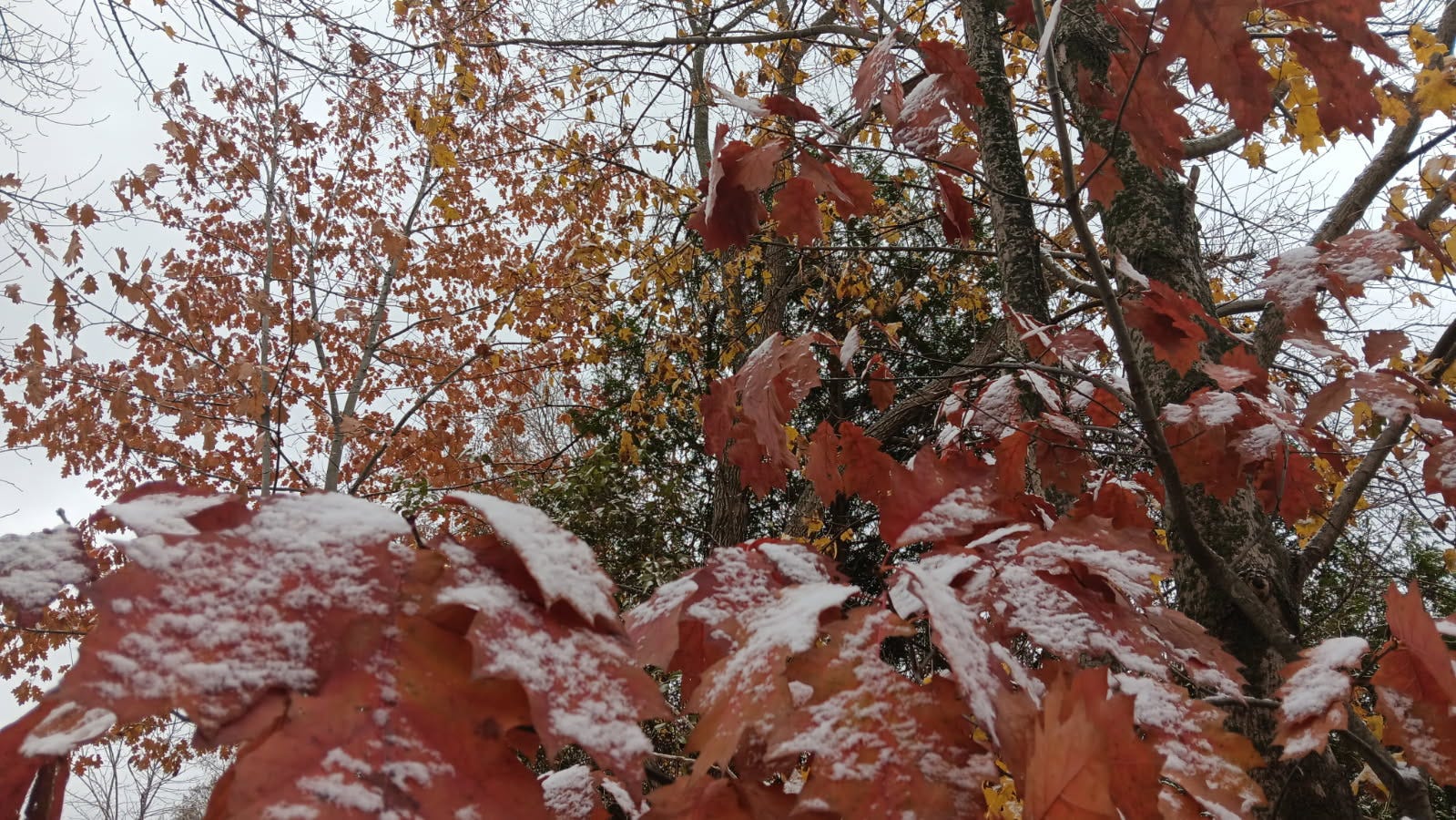 Chilling effect: What to know about this seasons' first big snowfall