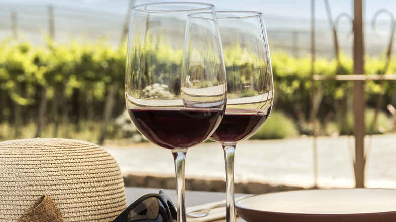 Here's Why Pinot Noir Is More Expensive Than A Lot Of Other Wines