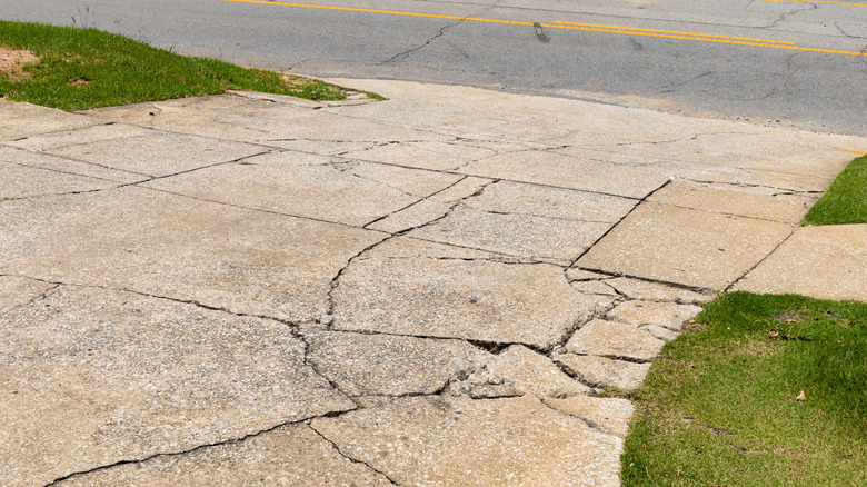 Easily Fill Cracks In Your Concrete Driveway With One Quick, Affordable ...