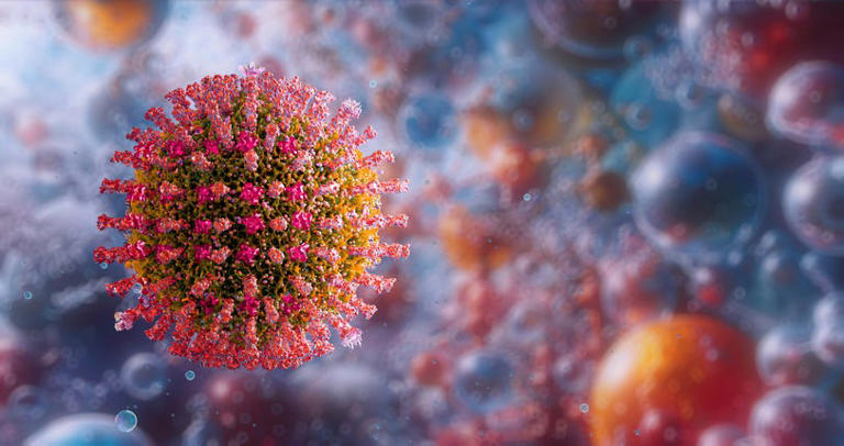 Measles cases grow at slower rate; concern about spread over holidays