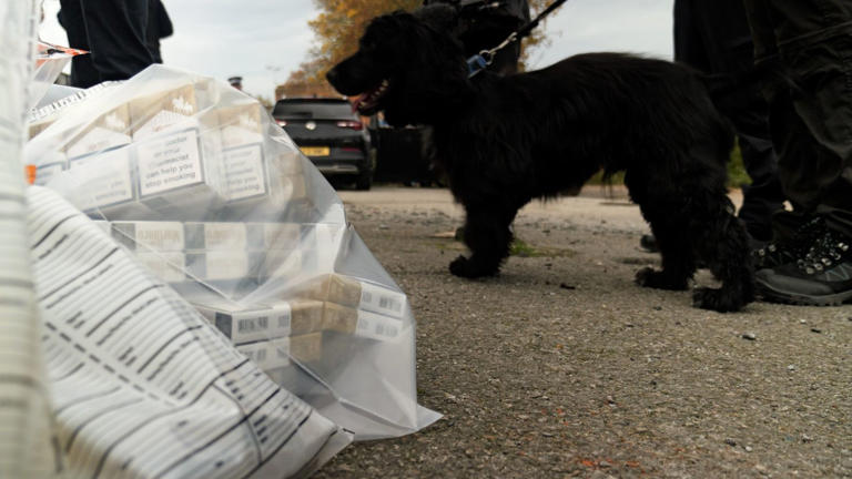 Sky News joins police raid on Turkish barbershop - and all is not as it ...