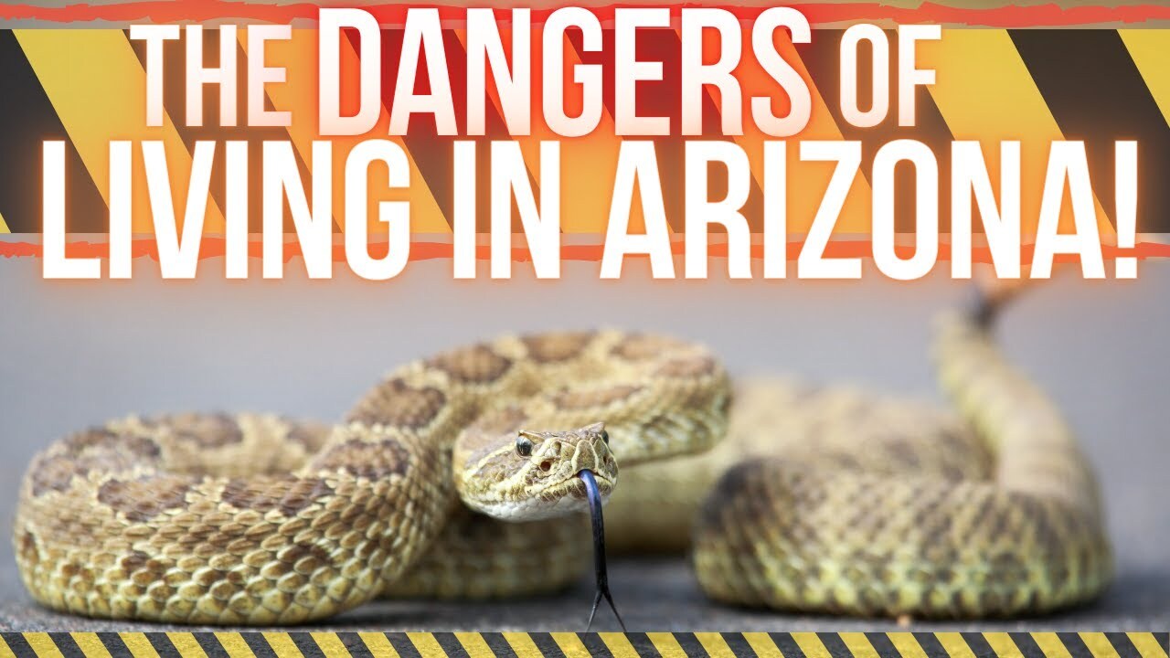 The Dangers of Living in Arizona!
