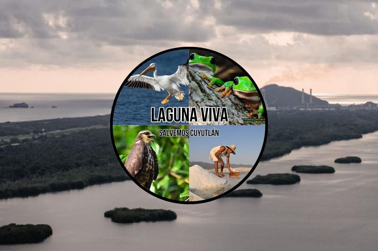 Protestas en Manzanillo, Colima: Manifestantes rechazan la construcción ...