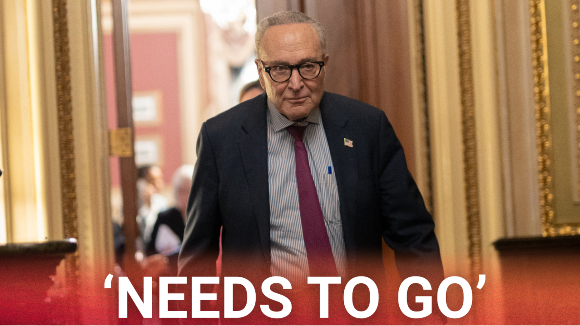 'The View' co-host turns on Chuck Schumer over caving on government ...