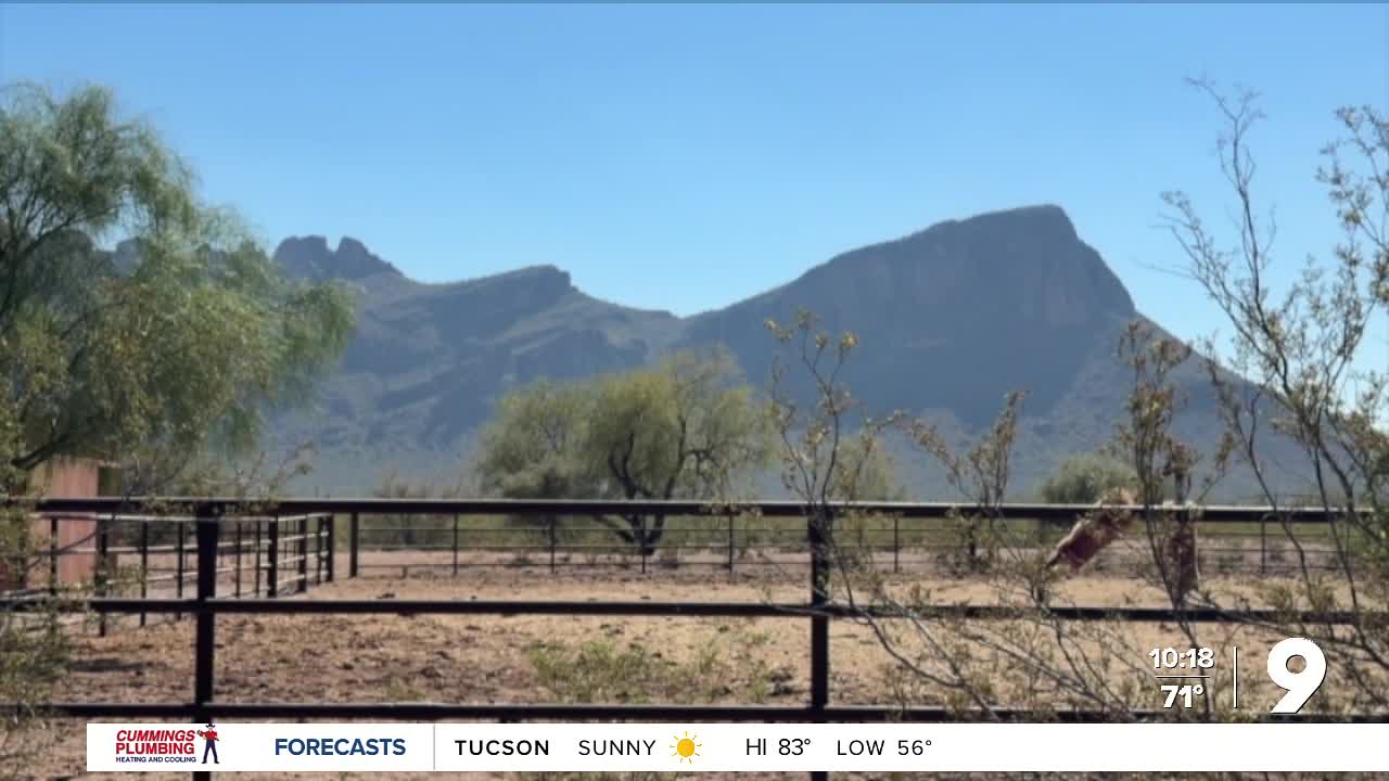 Good Ride, Cowboy: White Stallion Ranch bucks dude ranch trend